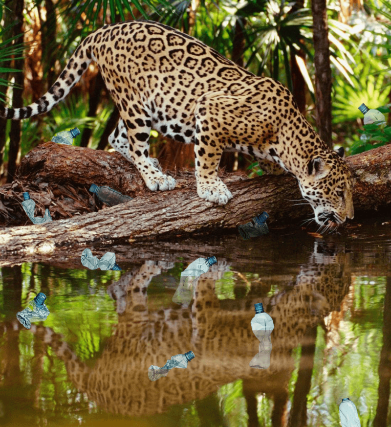 Interacty – engaging content | Interacty project